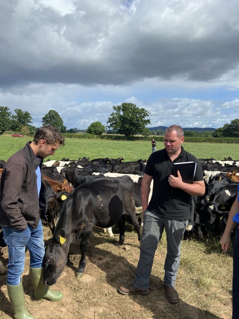 Breeding Season 2023 - Sansaw Estate