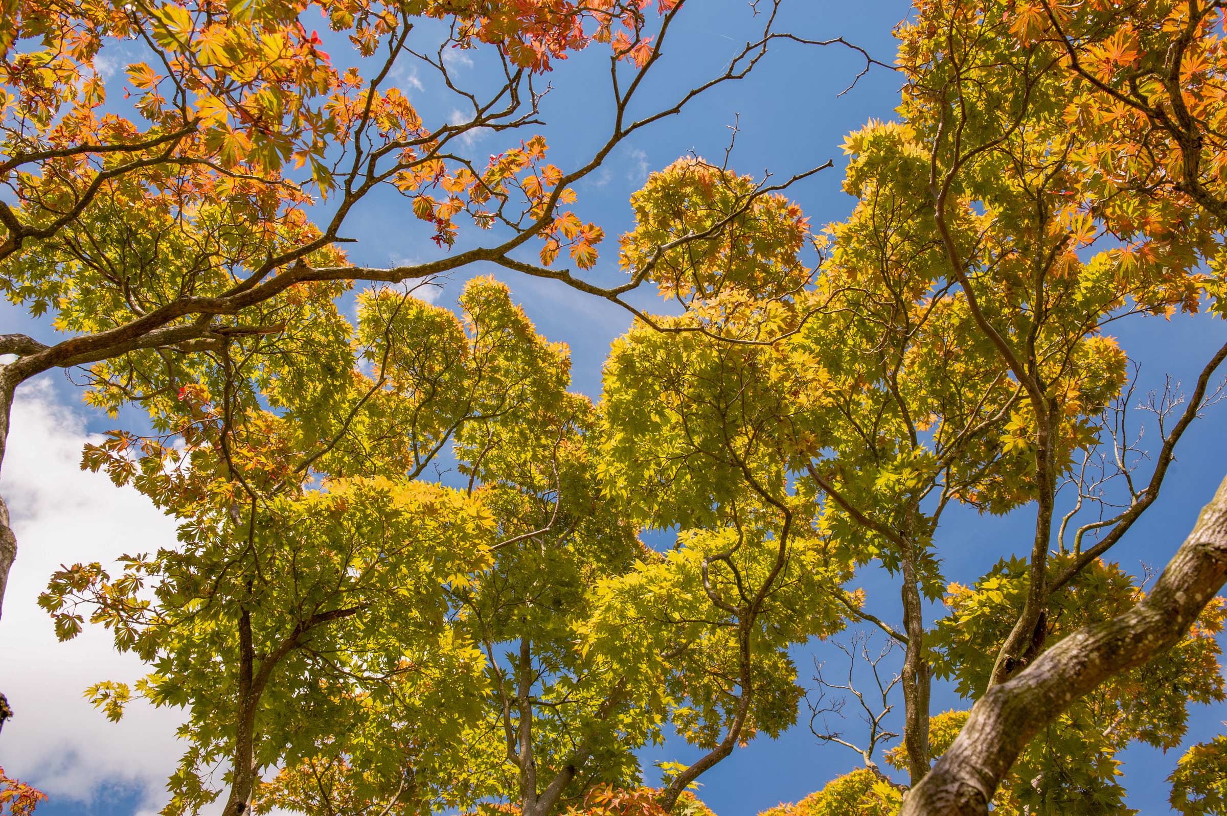 Get In Touch - Sansaw Estate