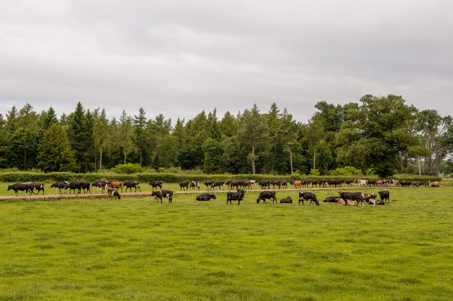 Open Farm Sunday 2023 - Sansaw Estate