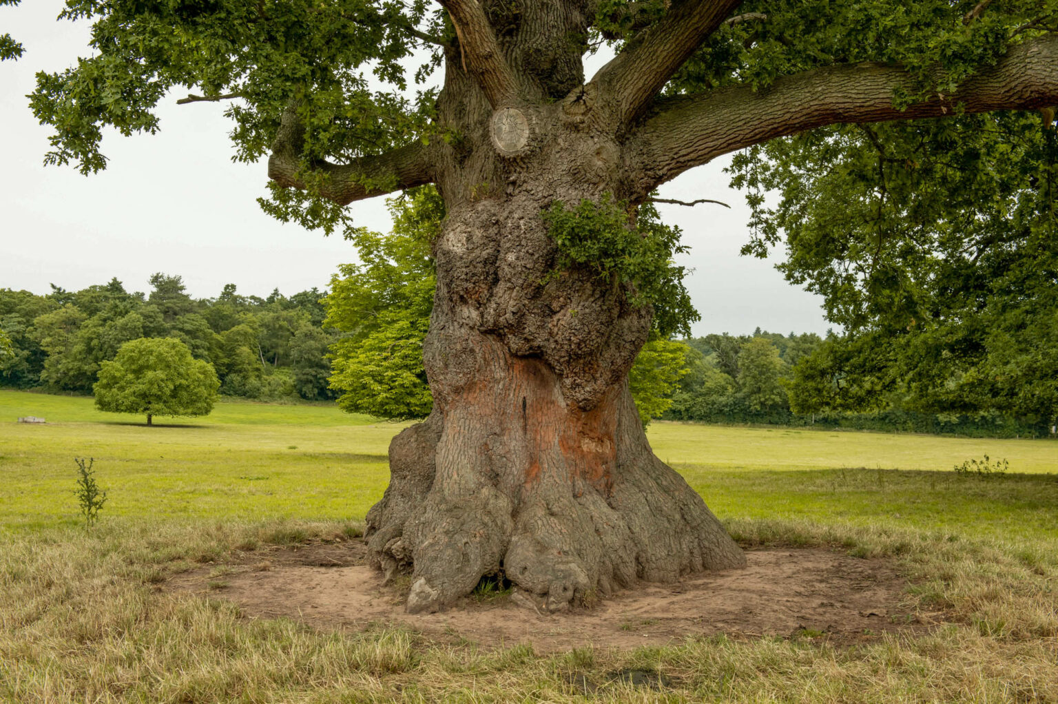 Work With Us – Sansaw