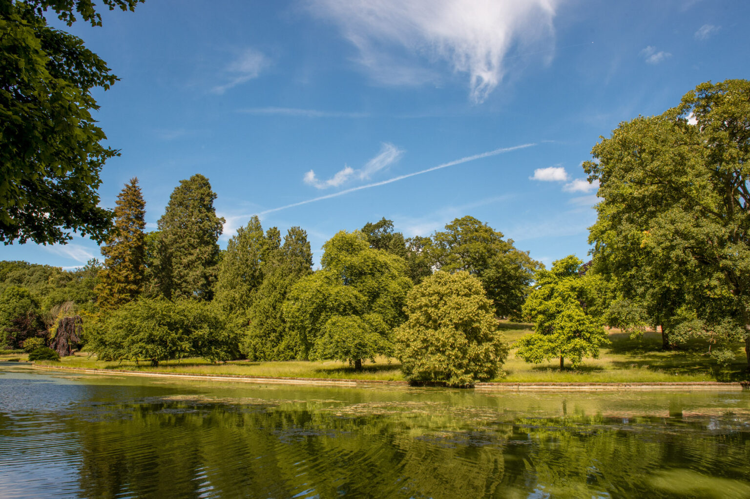 Sansaw Estate Spring Update 2023 - Sansaw Estate