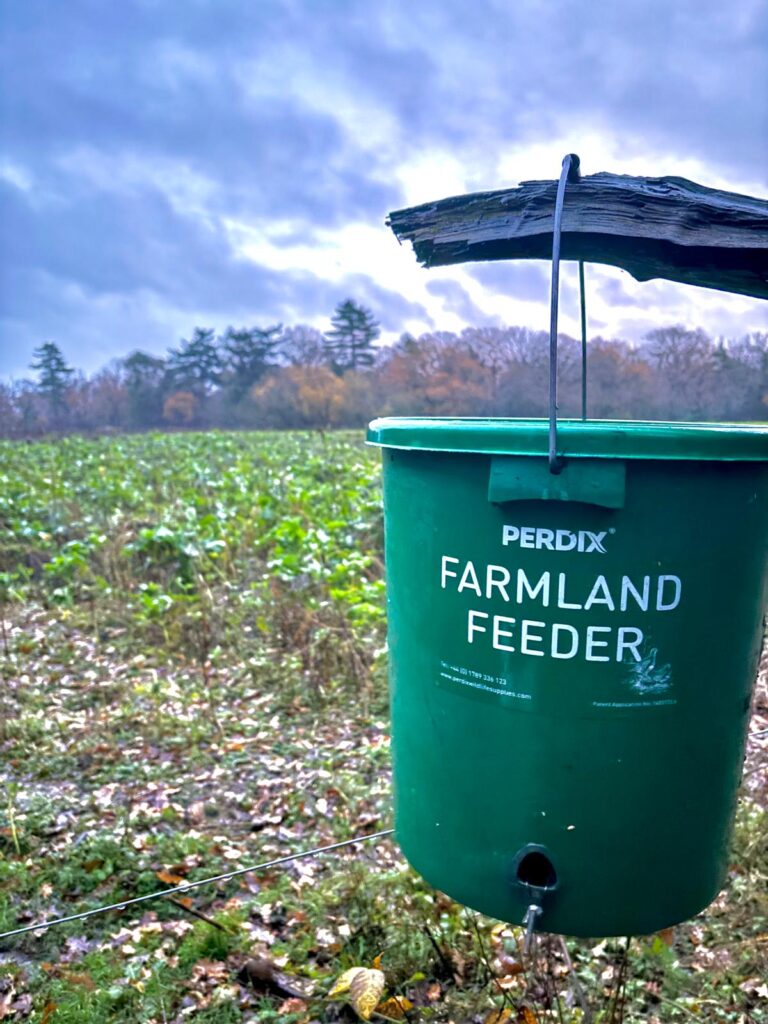 Winter survival for farmland birds - Sansaw Estate